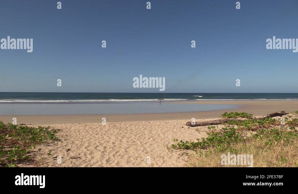 Nesting log Stock Videos & Footage - HD and 4K Video Clips - Alamy