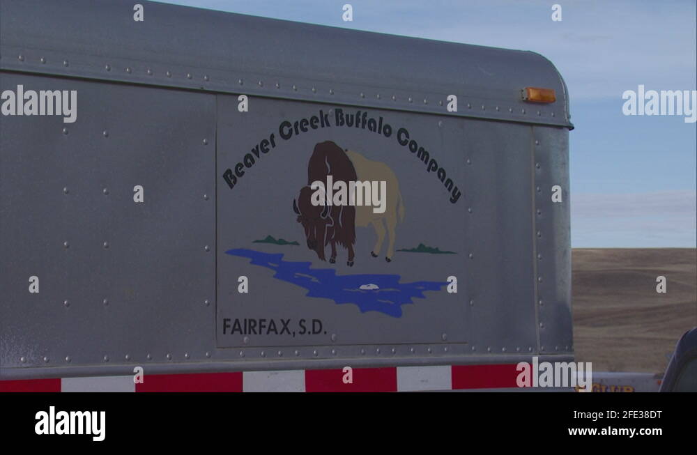 Buffalo logo Stock Videos & Footage - HD and 4K Video Clips - Alamy