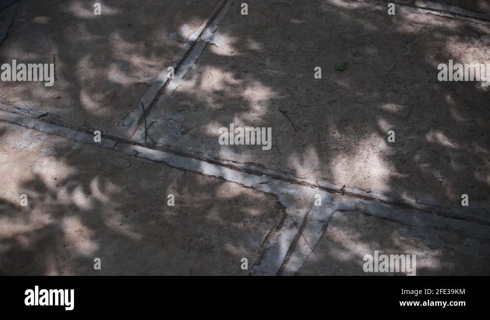 Crescent shadow Stock Videos & Footage - HD and 4K Video Clips - Alamy