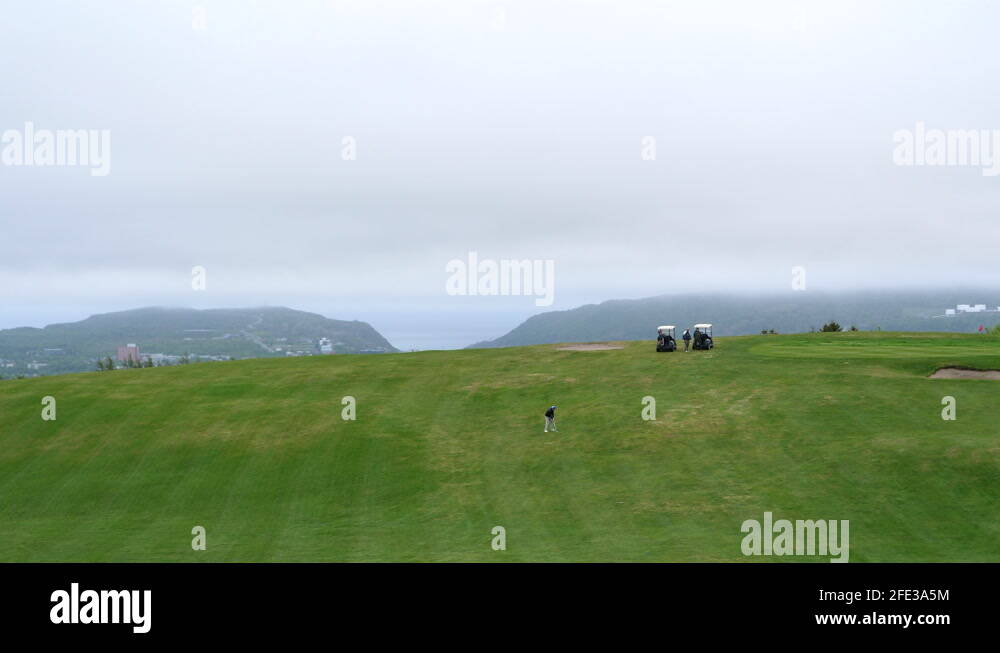 Caddie the labrador Stock Videos & Footage - HD and 4K Video Clips - Alamy