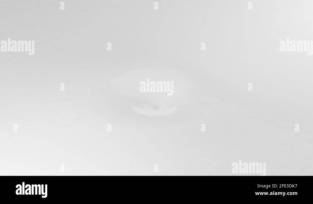 Fresh milk splash and pouring in slow motion, realistic natural dairy ...