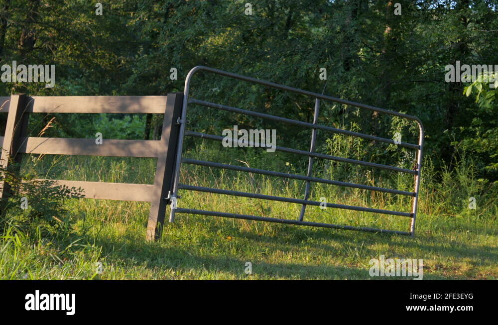 Open metal gate Stock Videos & Footage - HD and 4K Video Clips - Alamy