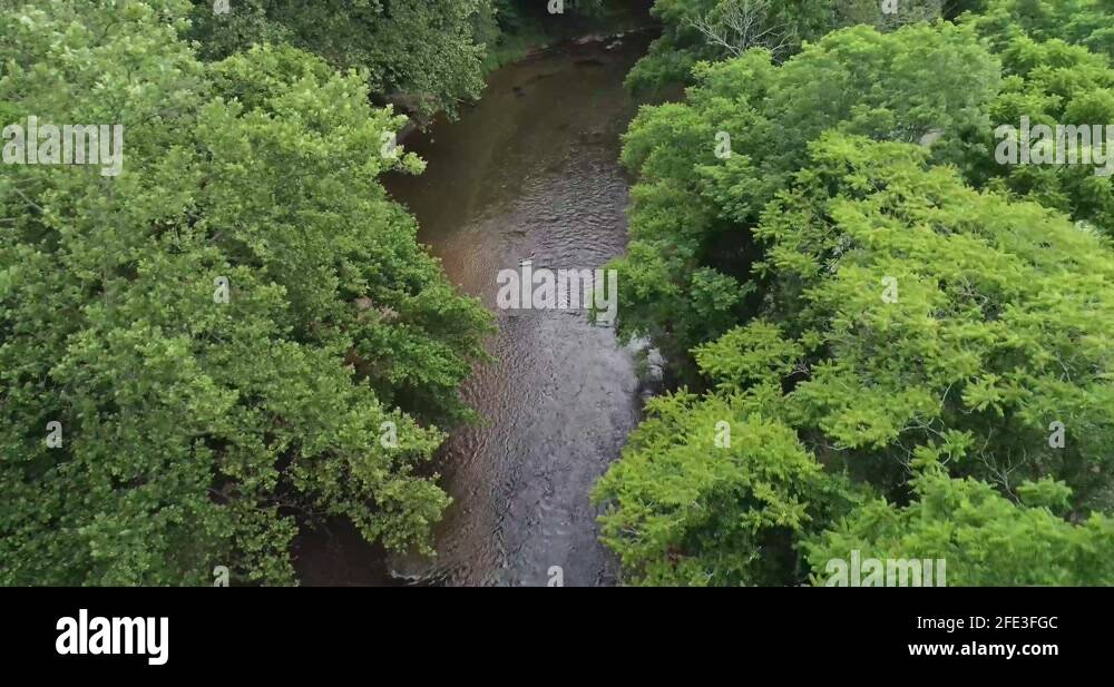 Tube fish Stock Videos & Footage - HD and 4K Video Clips - Alamy