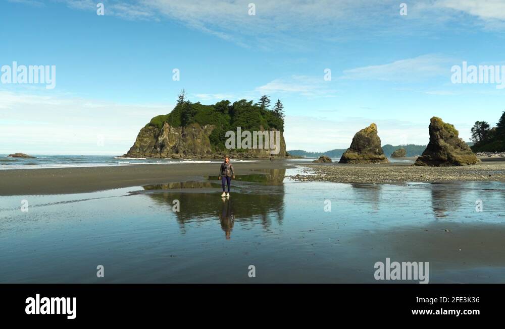 Ruby beach in olympic Stock Videos & Footage - HD and 4K Video Clips ...