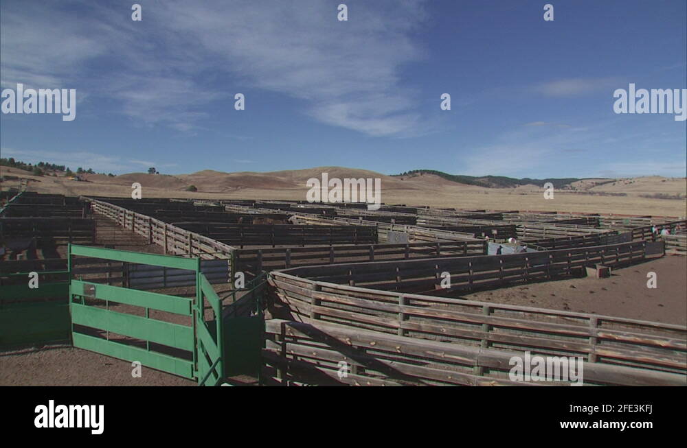 Brilliant Blue Sky above Bison Chutes in Custer State Park Stock Video ...