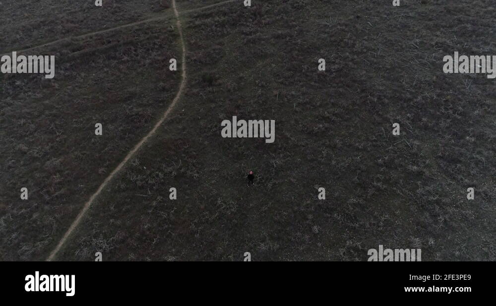 Path pathway split choice Stock Videos & Footage - HD and 4K Video ...