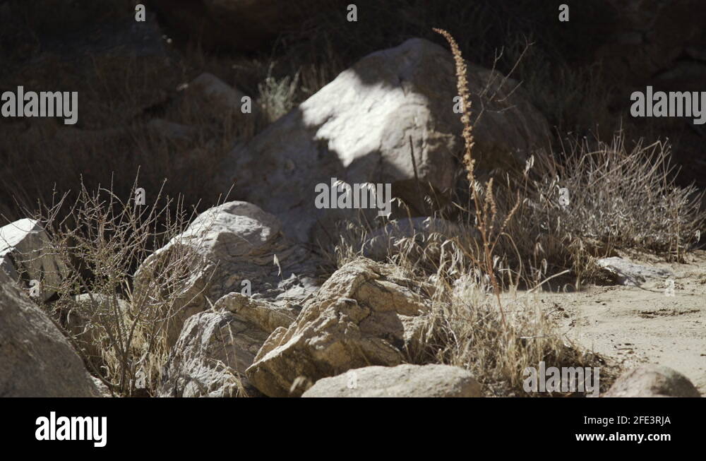 Fragile rocks Stock Videos & Footage - HD and 4K Video Clips - Alamy