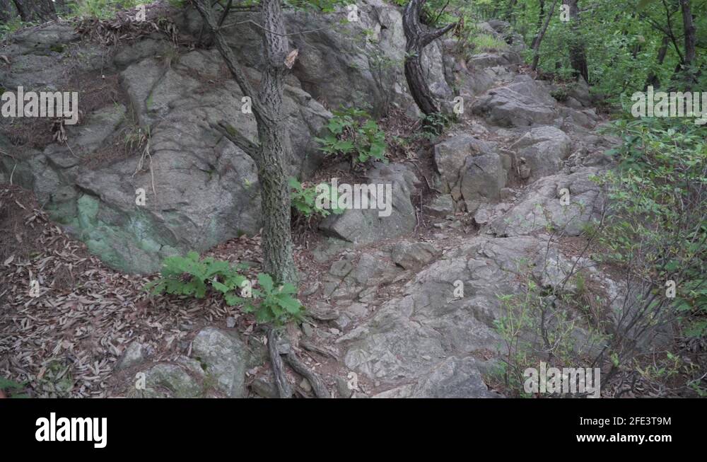 Backpacker Climbing On The Rocky Pathway In Cheonggyesan Mountain In ...