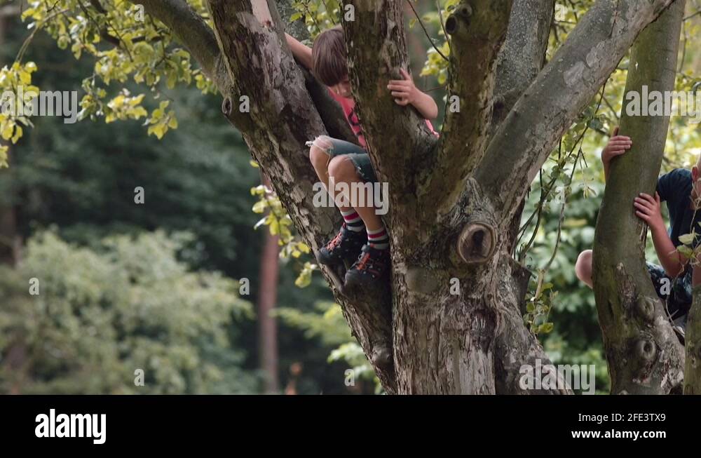 Physical agility coordination Stock Videos & Footage - HD and 4K Video ...