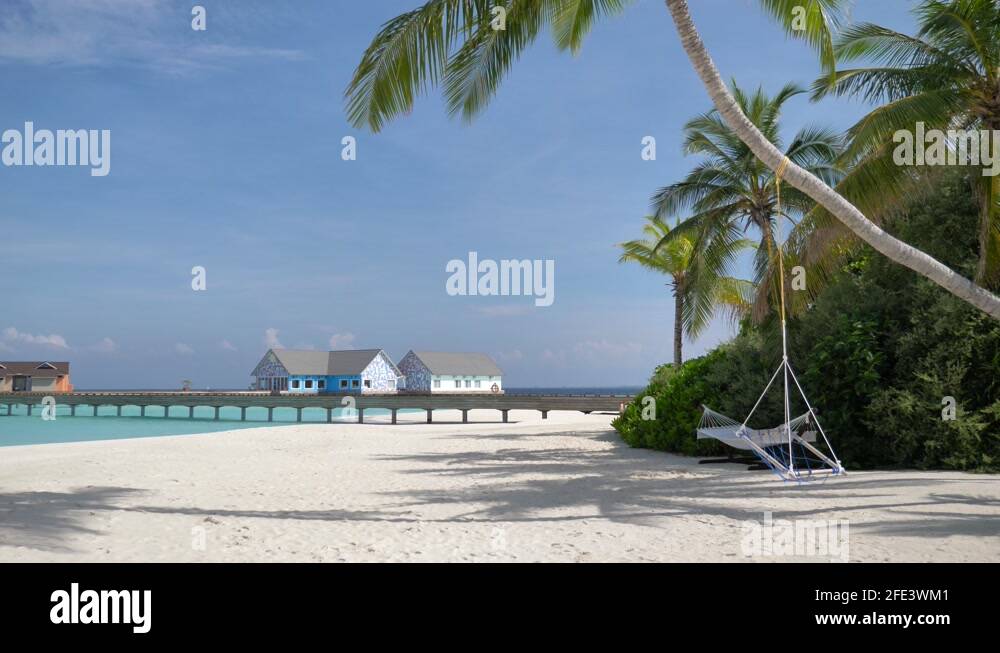 The most isolated tree in the world Stock Videos & Footage - HD and 4K ...