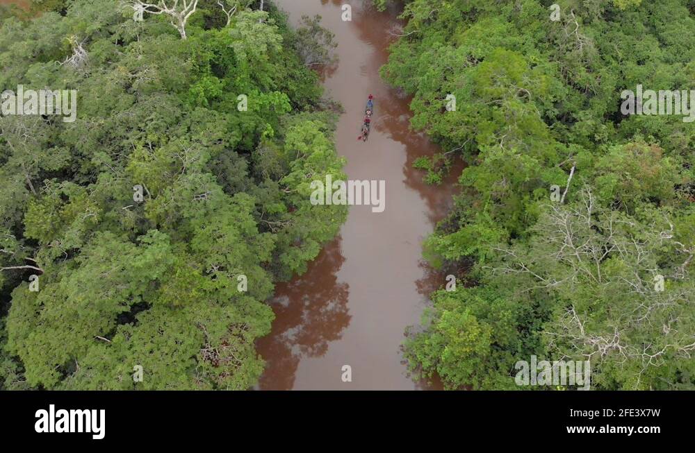 Amazon rainforest river canoe Stock Videos & Footage - HD and 4K Video ...