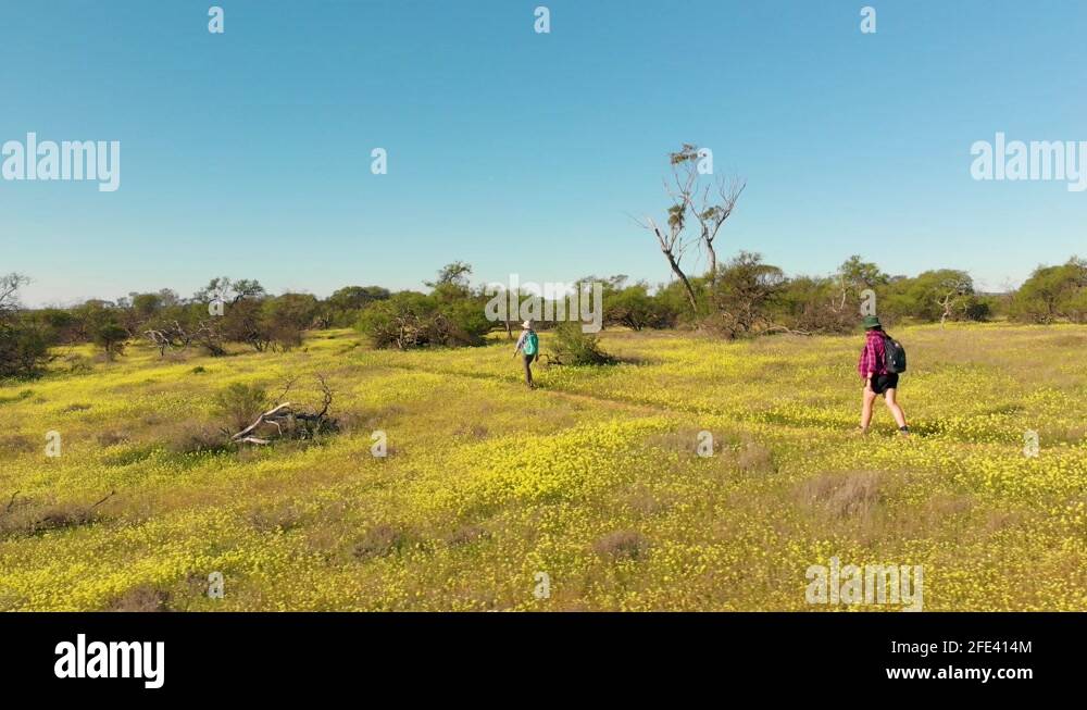 Tracking people Stock Videos & Footage - HD and 4K Video Clips - Alamy