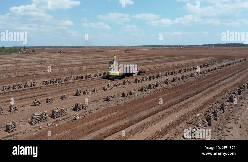 Peatlands Stock Videos & Footage - HD and 4K Video Clips - Alamy