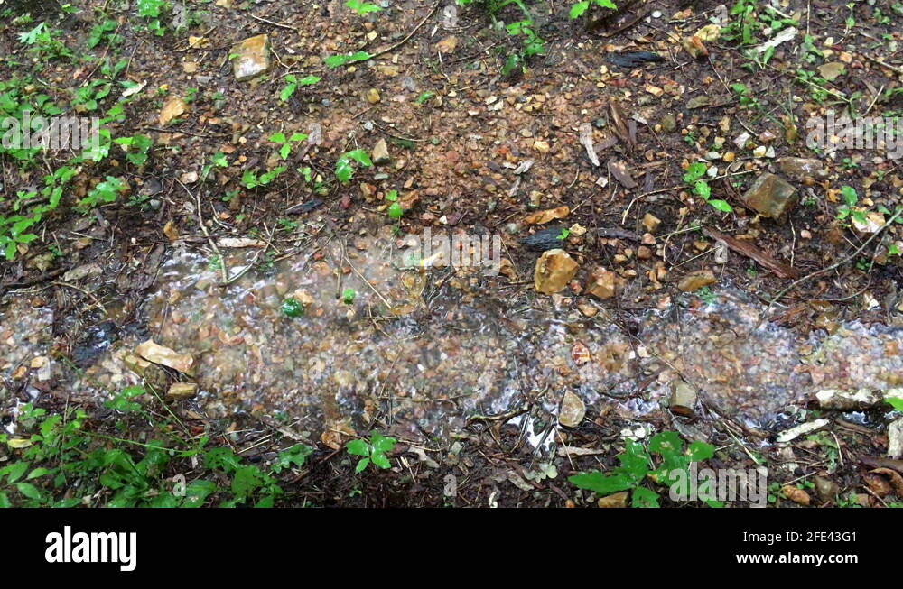 Simple water trough Stock Videos & Footage - HD and 4K Video Clips - Alamy