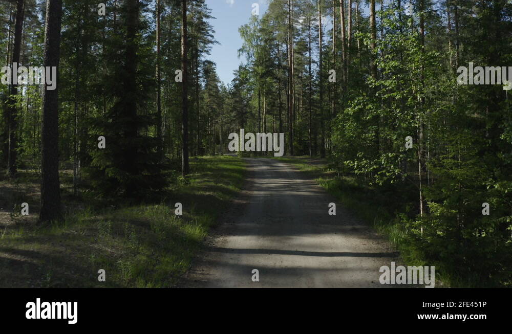 Shady road Stock Videos & Footage - HD and 4K Video Clips - Alamy