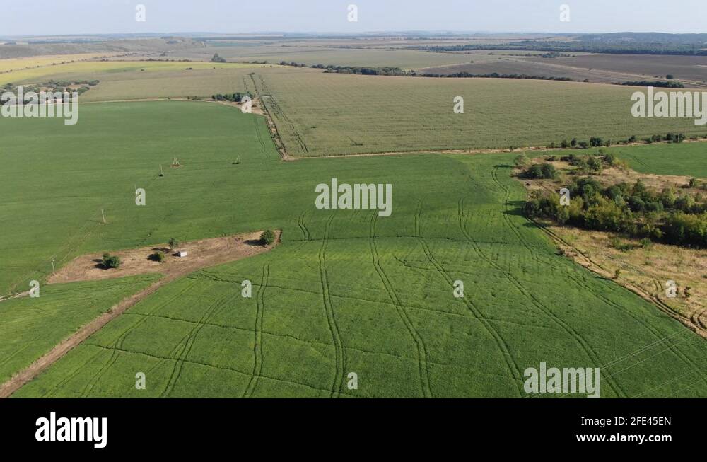 Europe field grass farmland green nature Stock Videos & Footage - HD ...