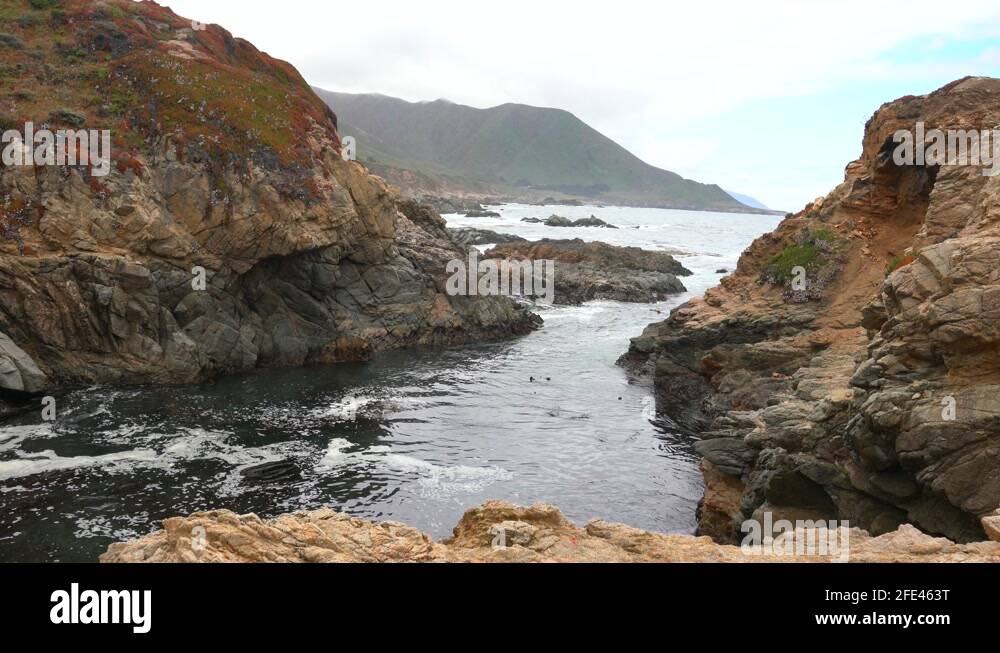 Monterey county park Stock Videos & Footage - HD and 4K Video Clips - Alamy