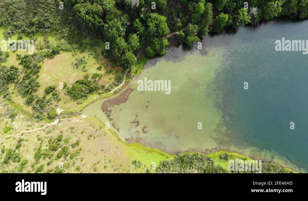 Rere new zealand Stock Videos & Footage - HD and 4K Video Clips - Alamy