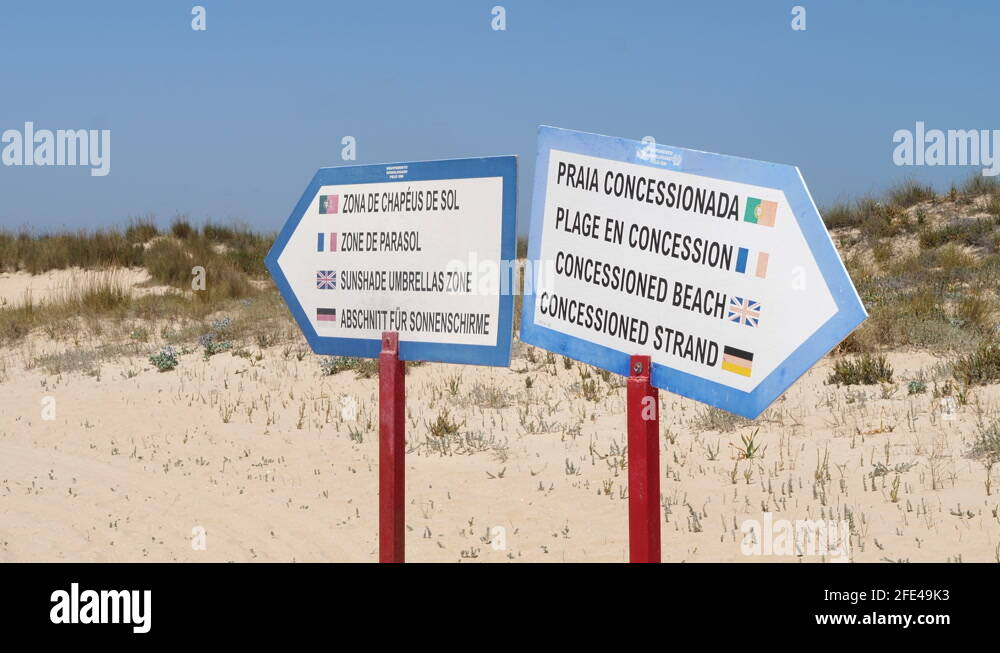 Day of sign languages Stock Videos & Footage - HD and 4K Video Clips ...