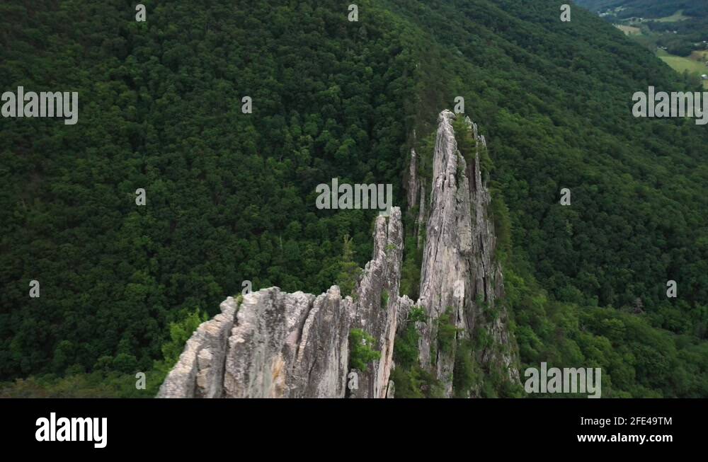 Vegetation in quartzite rock Stock Videos & Footage - HD and 4K Video ...