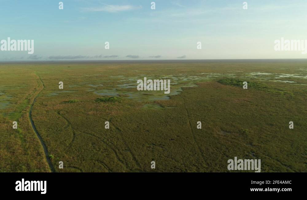 Florida everglades aerial and trees Stock Videos & Footage - HD and 4K ...