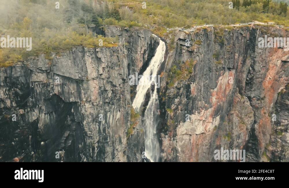 National bird of norway Stock Videos & Footage - HD and 4K Video Clips ...