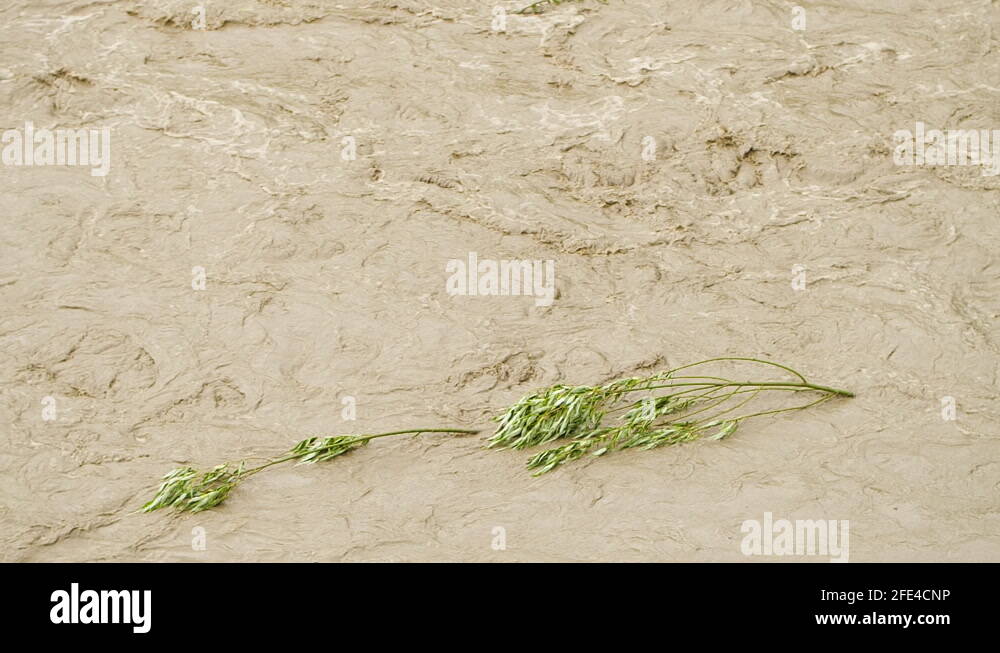 Dirty water. Sea river lake rubbish pollution. Sewage floating. Global ...