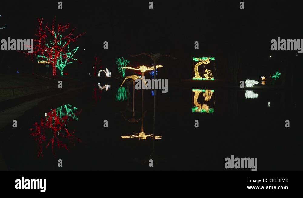 Animated light display Stock Videos & Footage - HD and 4K Video Clips ...