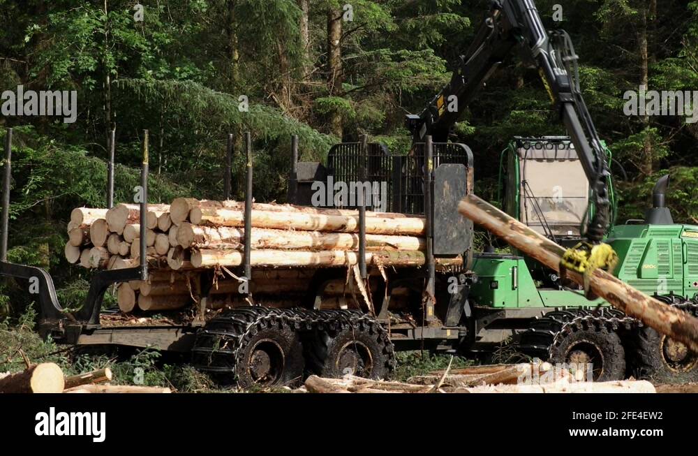 Forestry scotland Stock Videos & Footage - HD and 4K Video Clips - Alamy