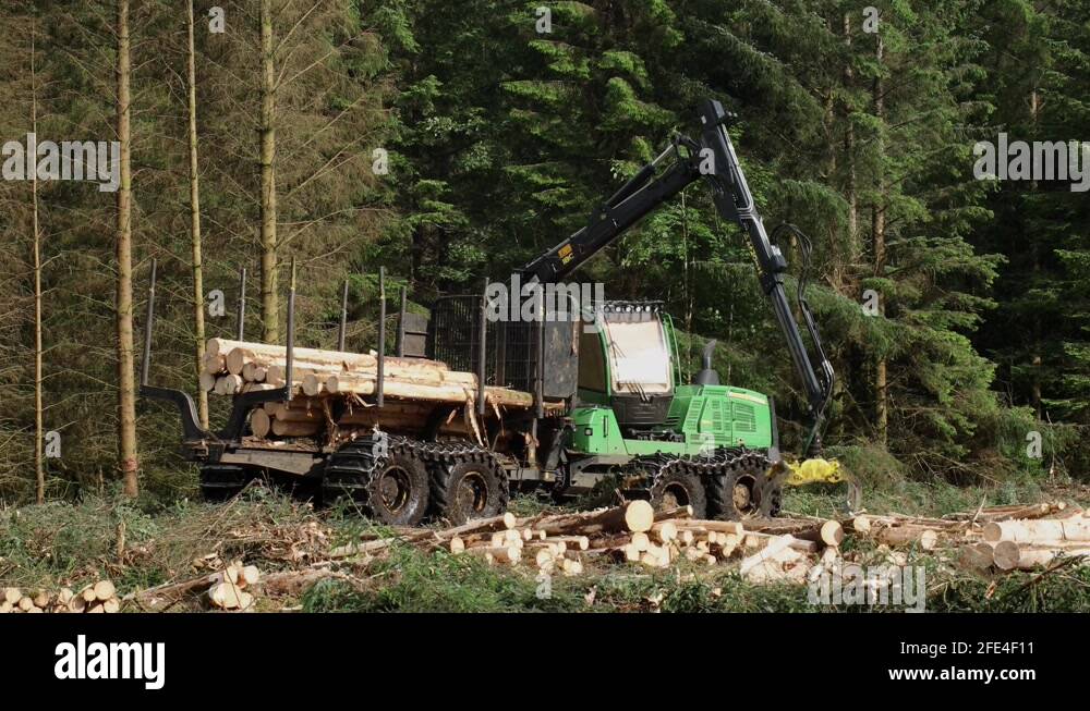 Extraction of timber Stock Videos & Footage - HD and 4K Video Clips - Alamy