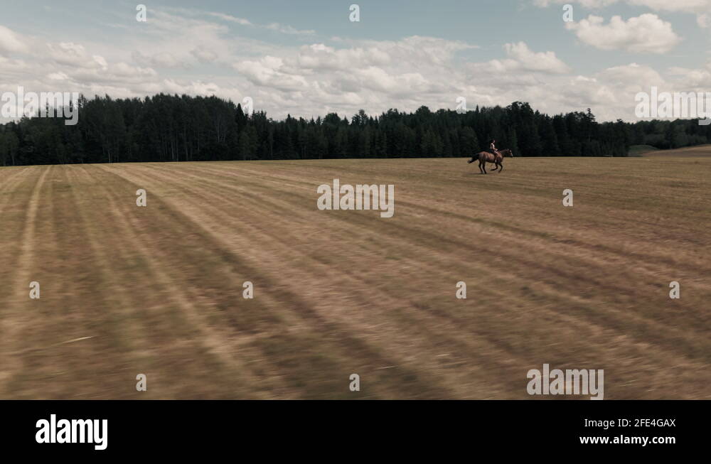 Horse rider cantering Stock Videos & Footage - HD and 4K Video Clips ...