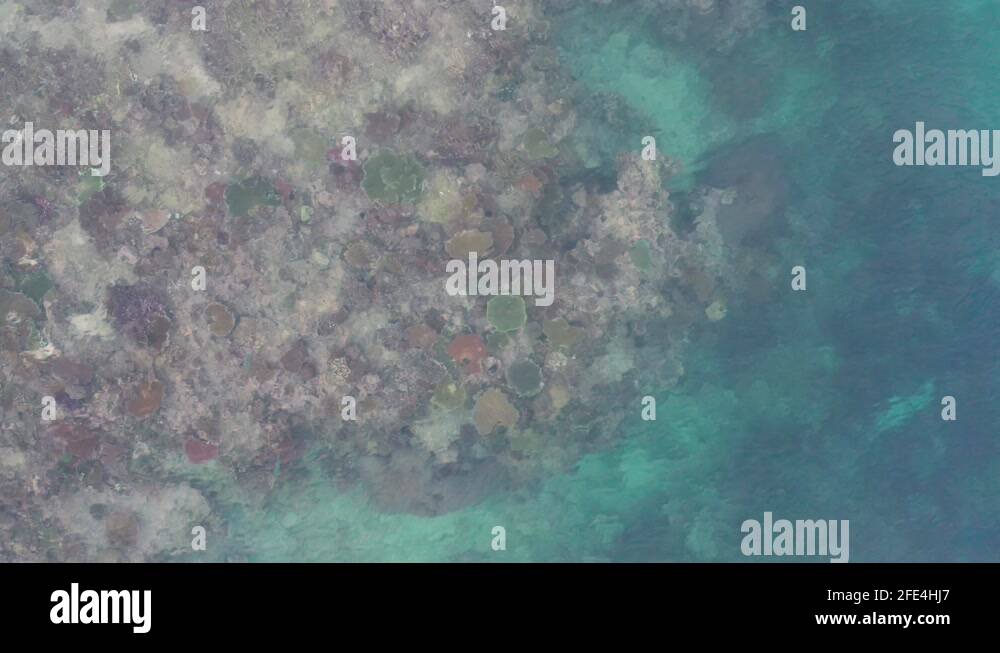 Large ecosystem Stock Videos & Footage - HD and 4K Video Clips - Alamy