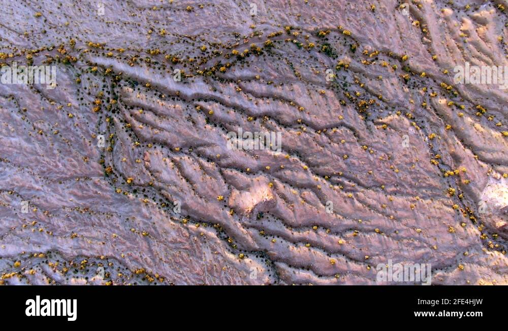 Ground texture outside Yuma. Morning glow, top down desert landscape ...