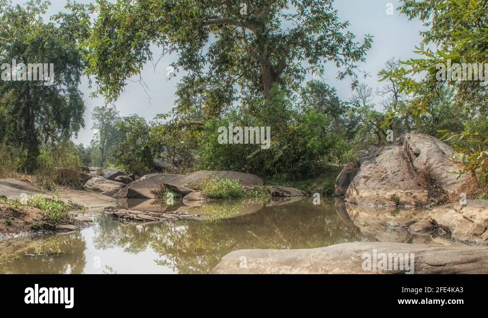 Kanha safari park Stock Videos & Footage - HD and 4K Video Clips - Alamy