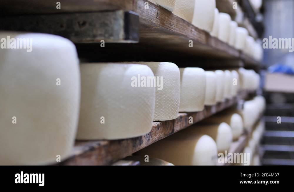 Cheese maturing storage Stock Videos & Footage - HD and 4K Video Clips ...