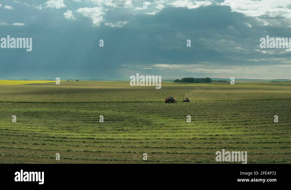 Sunlight beams farm Stock Videos & Footage - HD and 4K Video Clips - Alamy