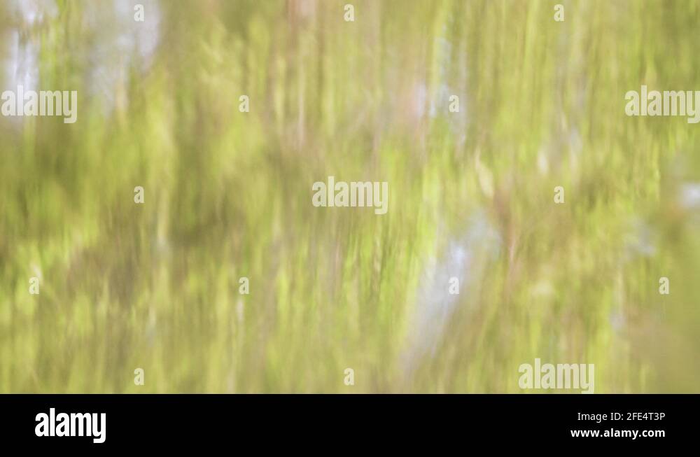 Reflection pattern Stock Videos & Footage - HD and 4K Video Clips - Alamy