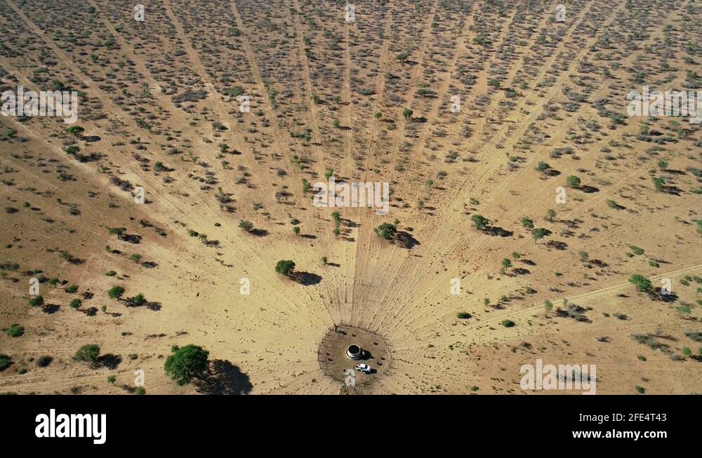 Grazing system Stock Videos & Footage - HD and 4K Video Clips - Alamy