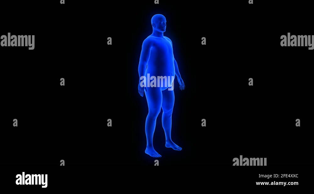 Weight loss - body transformation - man theme. Blue Human Anatomy Body ...