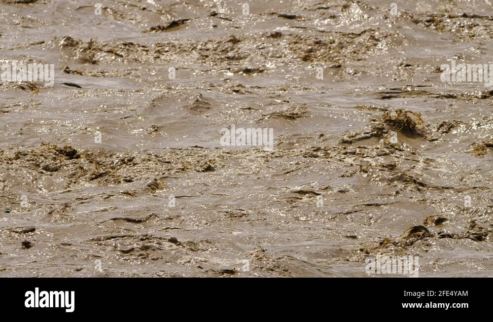 Dirty river rubbish pollution. Sewage floating. Global warming 4K ...