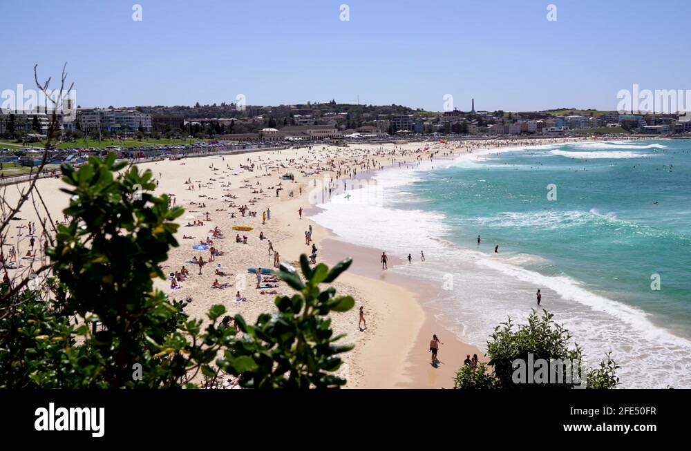 Crowded australian beach Stock Videos & Footage - HD and 4K Video Clips ...
