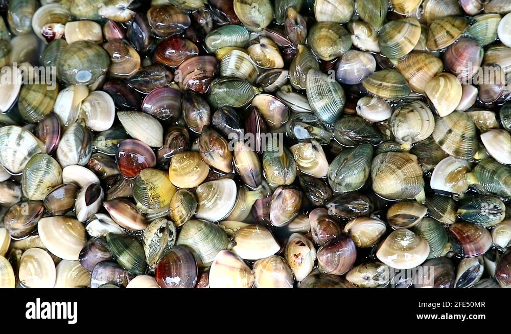 Salt body of water Stock Videos & Footage - HD and 4K Video Clips - Alamy