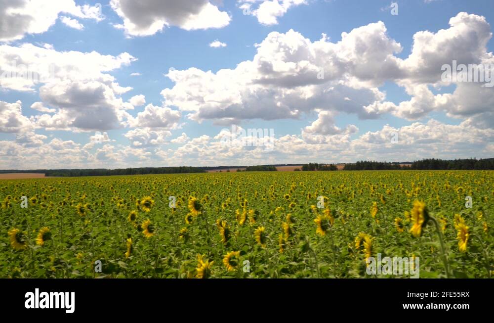 Horizontal land landscape Stock Videos & Footage - HD and 4K Video ...