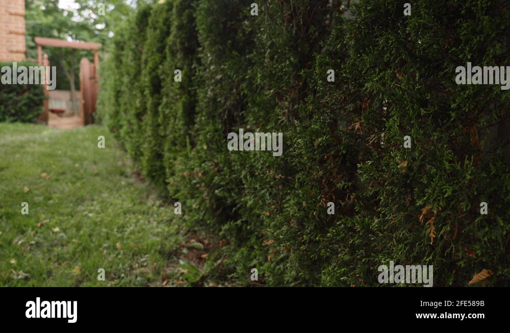 Bushes gate Stock Videos & Footage - HD and 4K Video Clips - Alamy