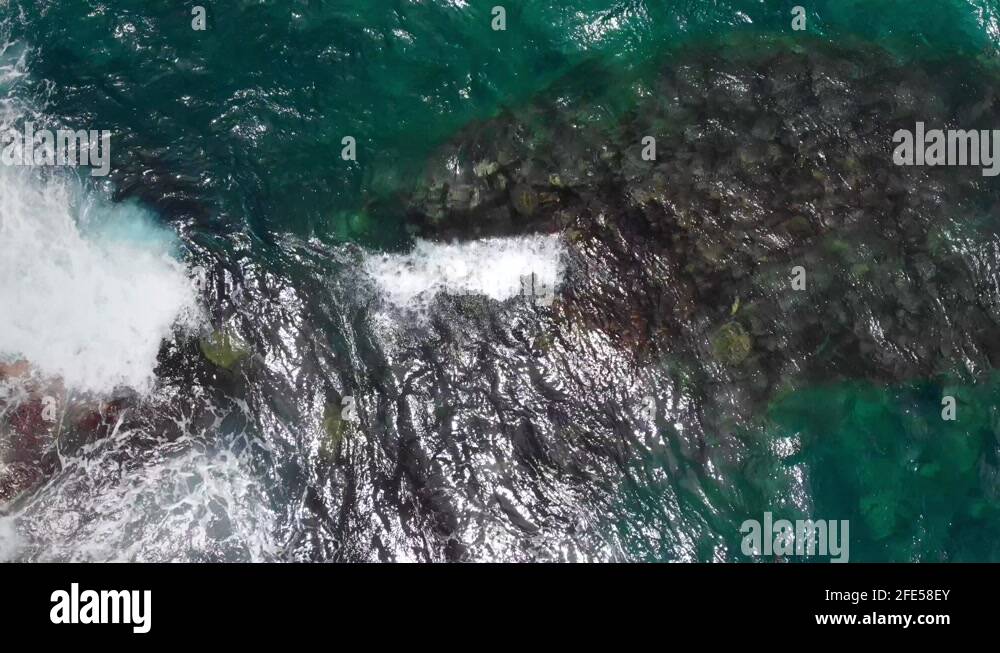 Top-down view of a group of sea turtles in the ocean waves Stock Video ...