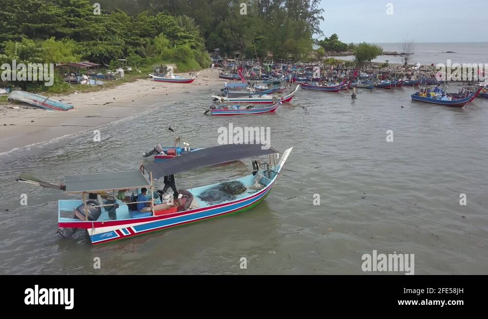 Fish transfer Stock Videos & Footage - HD and 4K Video Clips - Alamy