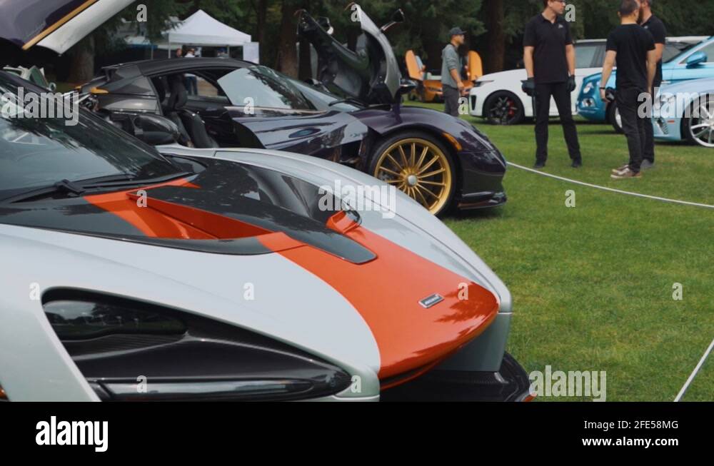 Car parked on grass Stock Videos & Footage - HD and 4K Video Clips - Alamy