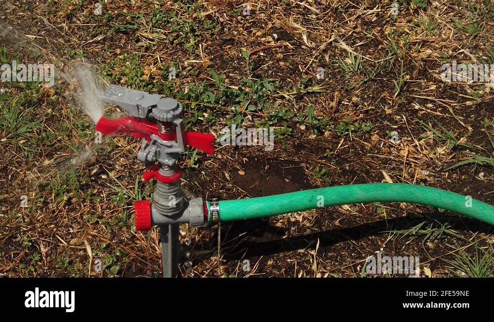 Sprinkler hot dry Stock Videos & Footage - HD and 4K Video Clips - Alamy