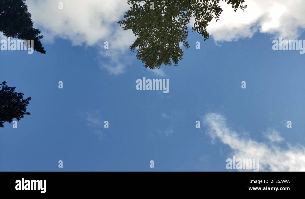 Vertigo spiral Stock Videos & Footage - HD and 4K Video Clips - Alamy