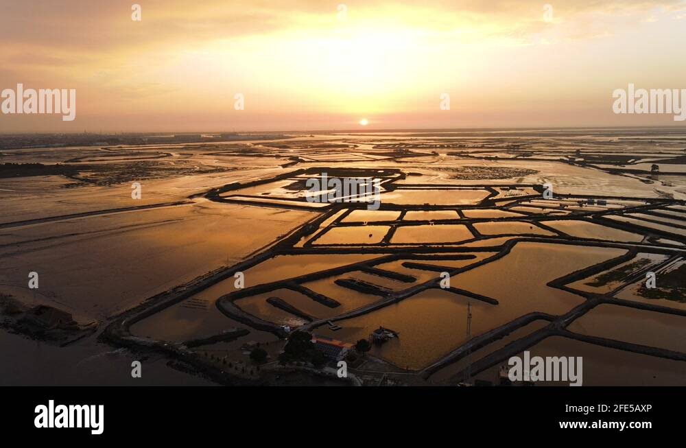 Traditional industry portugal Stock Videos & Footage - HD and 4K Video ...